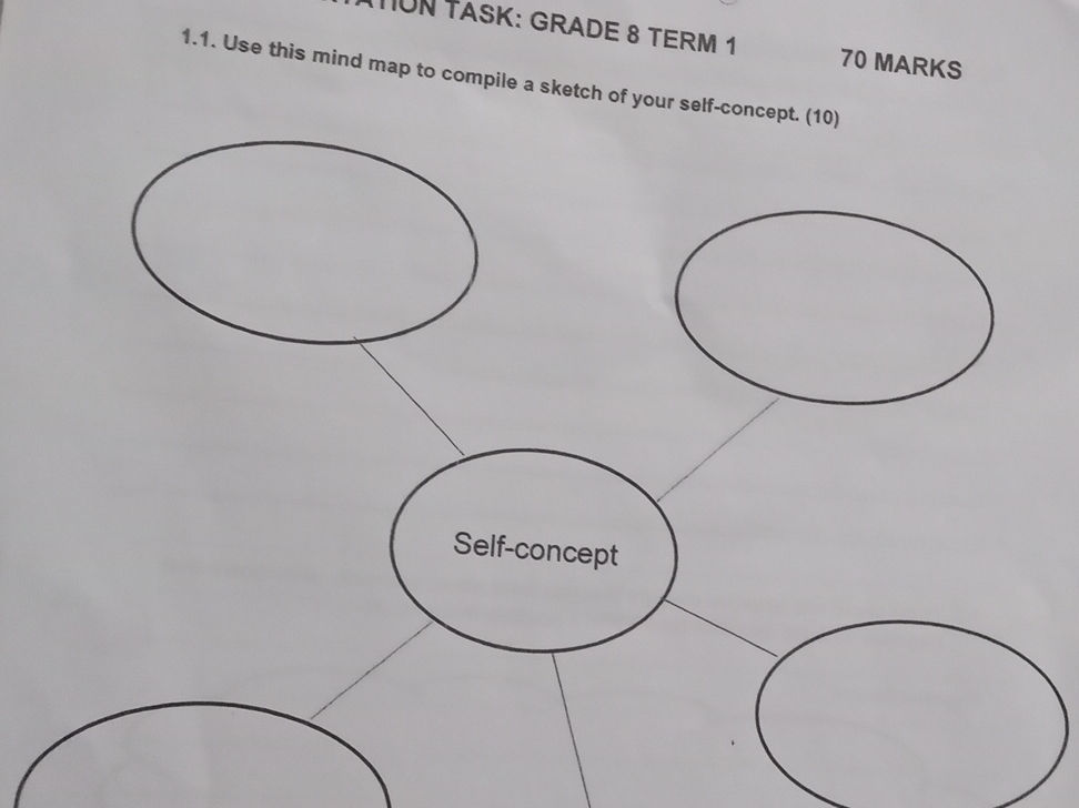 1.1. Use this mind map to compile a sketch | StudyX