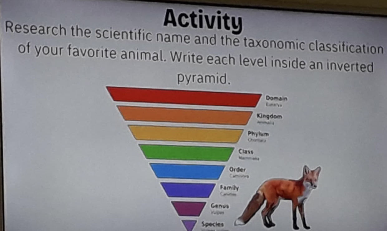 Research the scientific name and the | StudyX