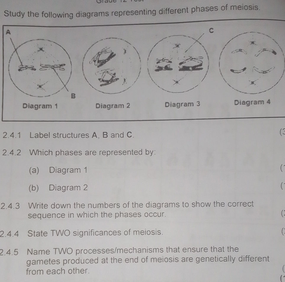 Study the following diagrams representing | StudyX