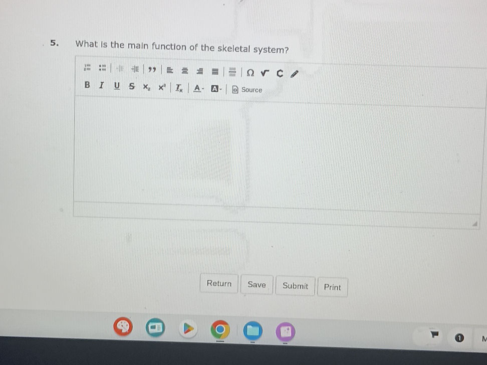 5. What is the main function of the skeletal | StudyX