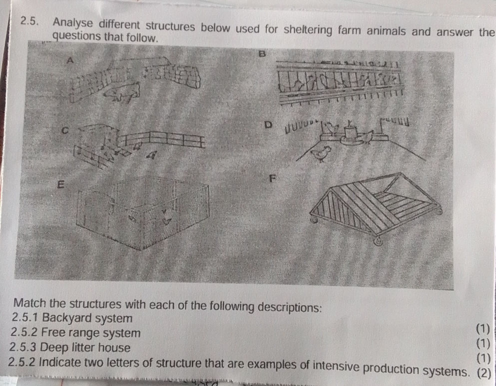 2.5. Analyse different structures below used | StudyX