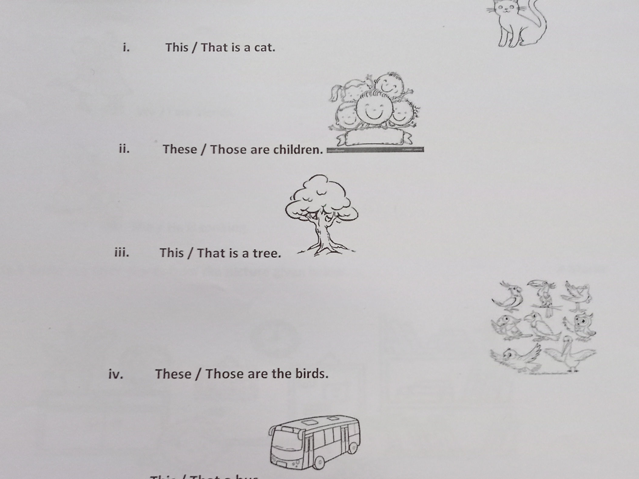 i. This / That is a cat. ii. These / Those | StudyX