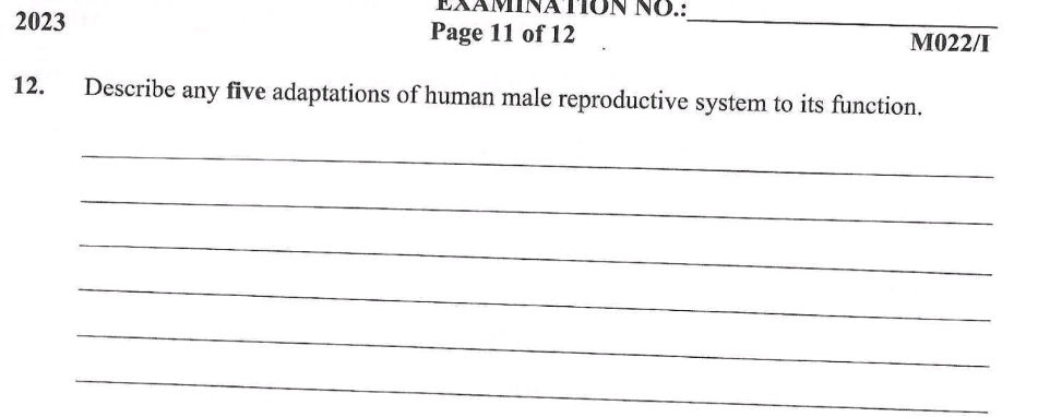 12. Describe any five adaptations of human | StudyX