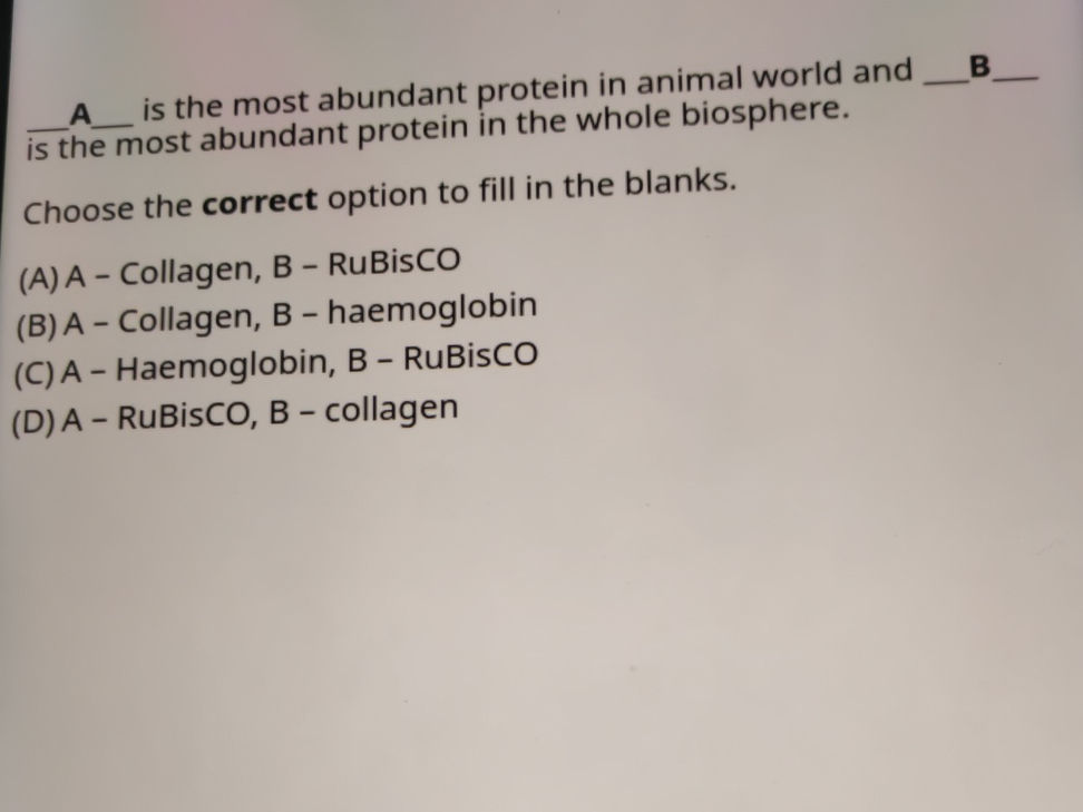 A is the most abundant protein in animal | StudyX