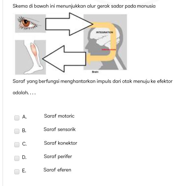 Skema di bawah ini menunjukkan alur gerak | StudyX