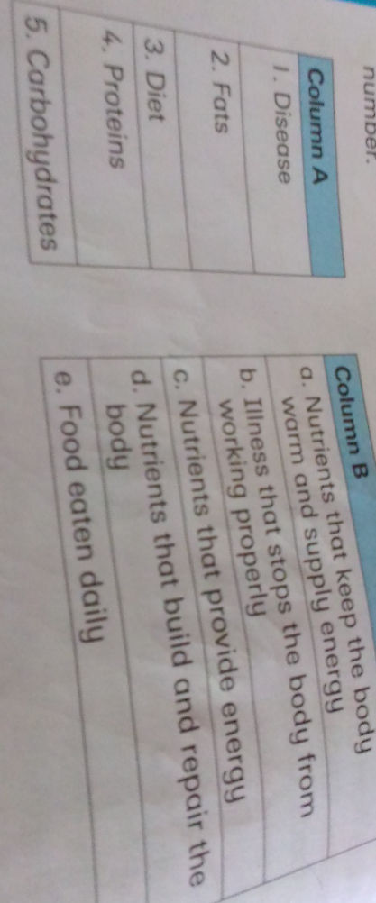 Match the items in Column A with the items | StudyX