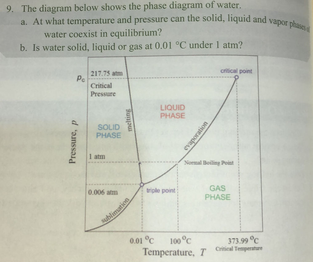 9. The diagram below shows the phase diagram | StudyX