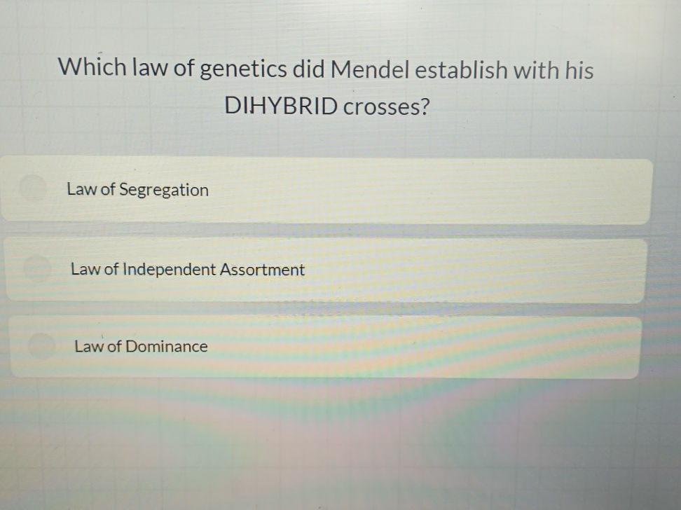 Which law of genetics did Mendel establish | StudyX