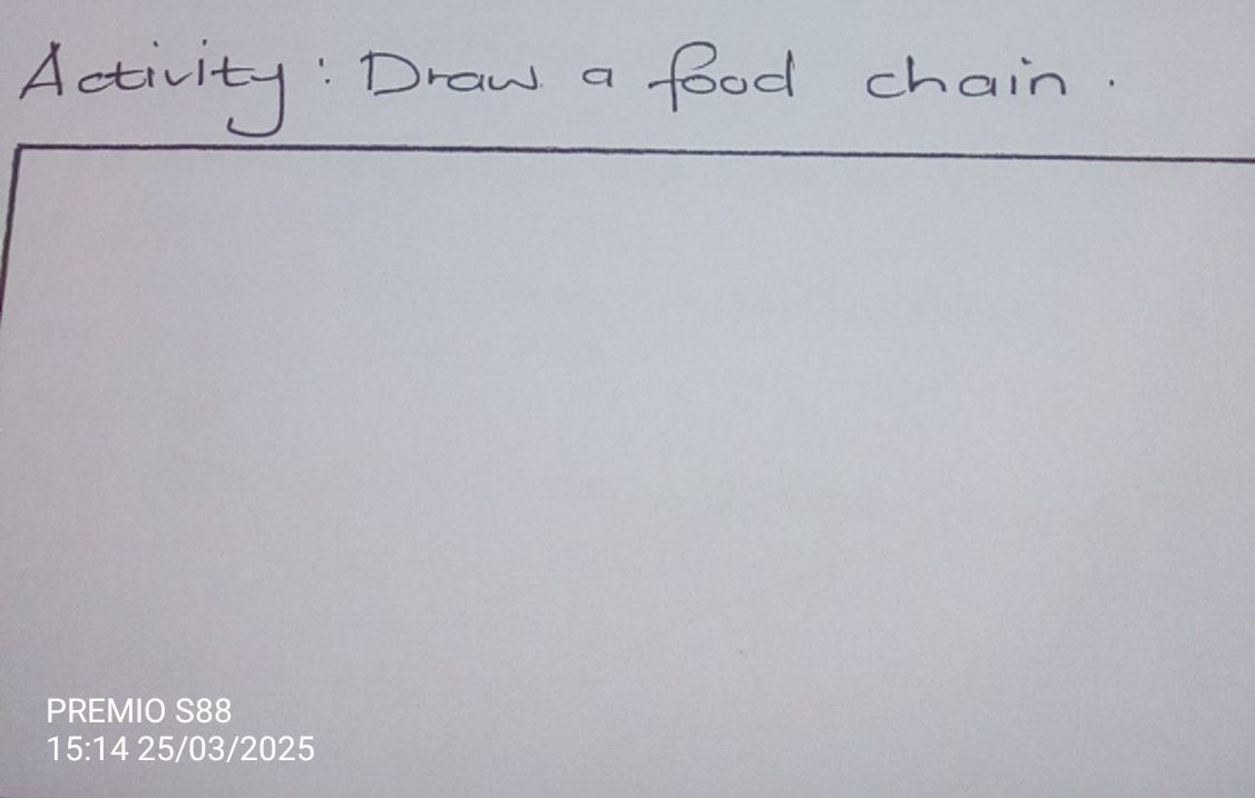 Draw a food chain | StudyX