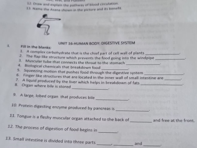 12. Draw and explain the pathway of blood | StudyX