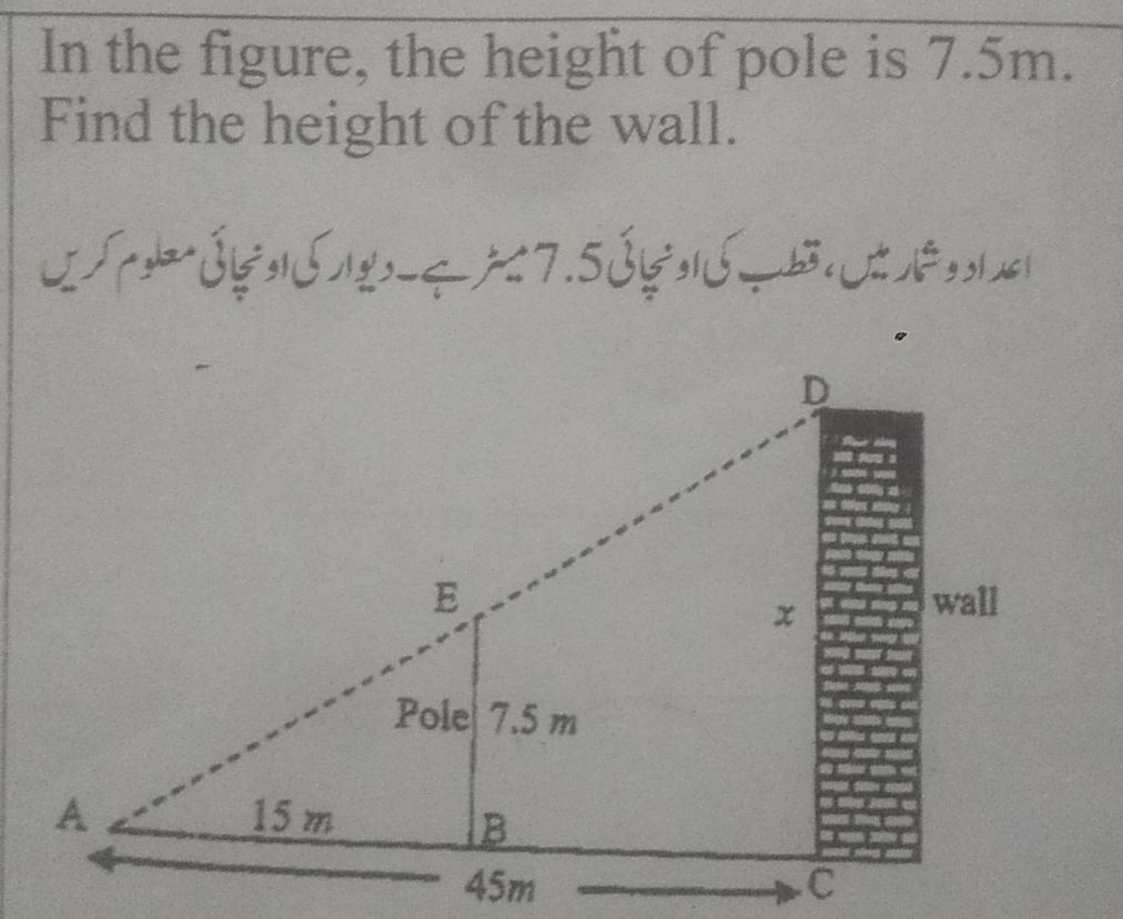 In the figure, the height of pole is 7.5m. | StudyX