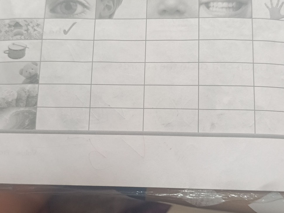 The image presents a table with pictures and | StudyX