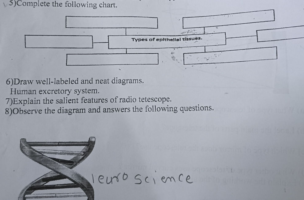 5) Complete the following chart. Types of | StudyX
