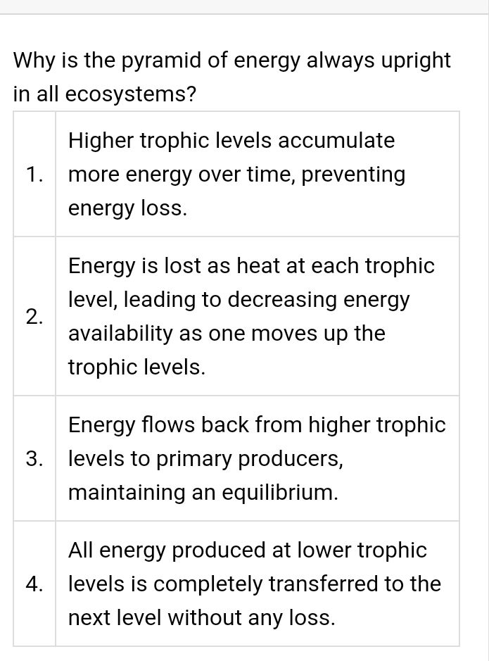 Why is the pyramid of energy always upright | StudyX
