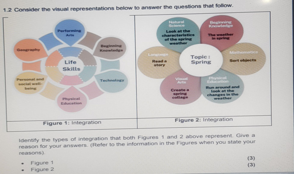 1.2 Consider the visual representations | StudyX