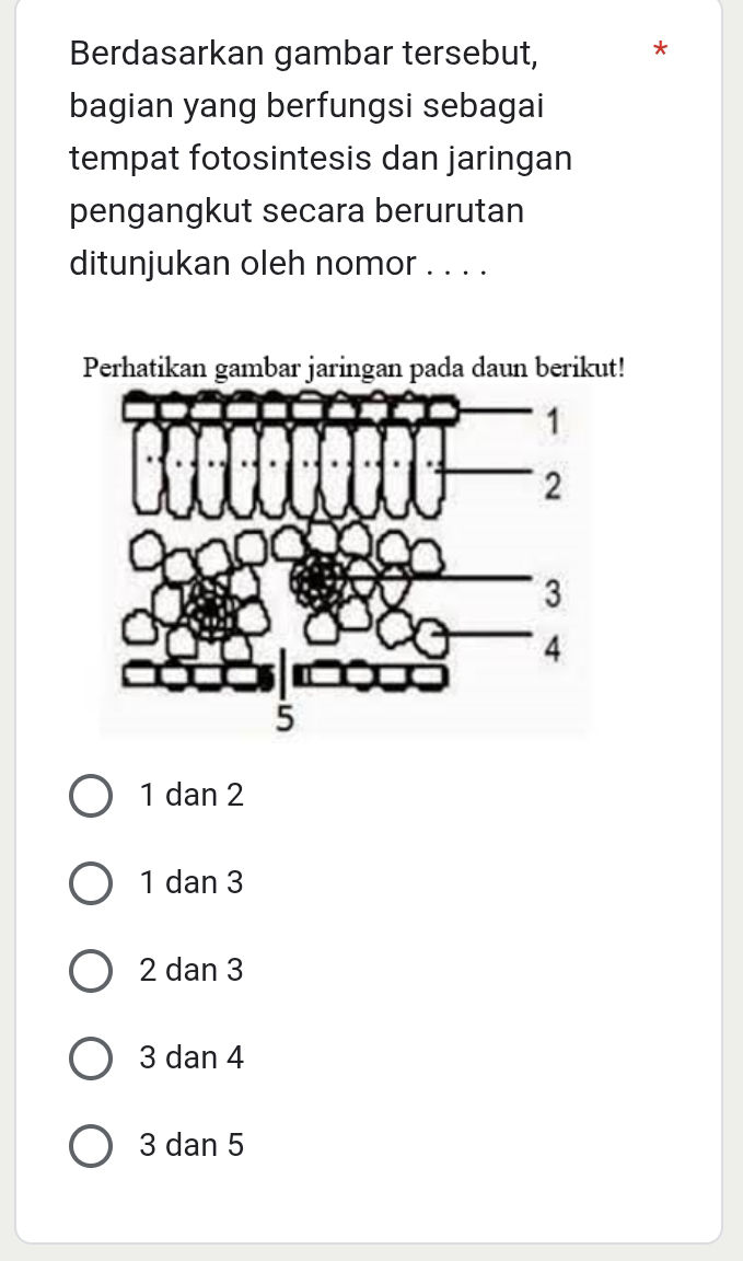 Berdasarkan gambar tersebut, bagian yang | StudyX