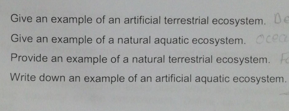 Give an example of an artificial terrestrial | StudyX