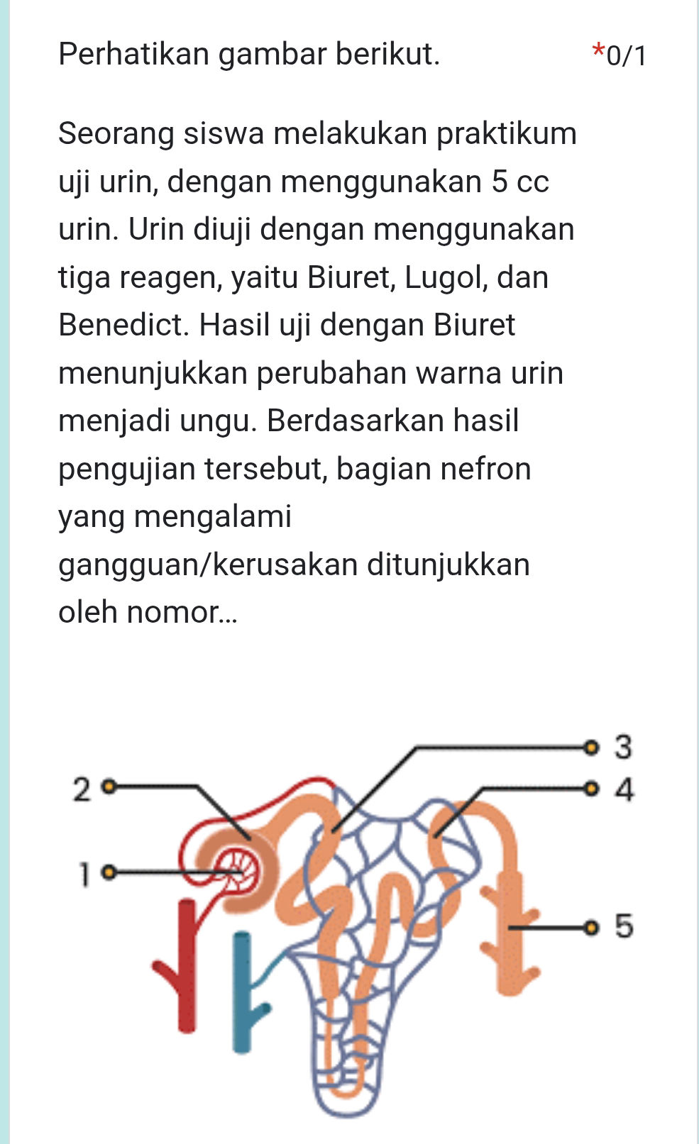 Perhatikan gambar berikut. Seorang siswa | StudyX