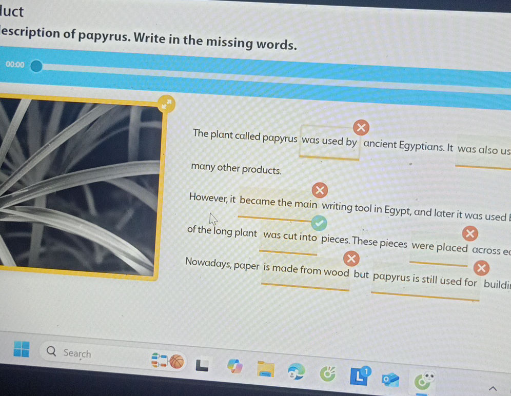 Description of papyrus. Write in the missing | StudyX