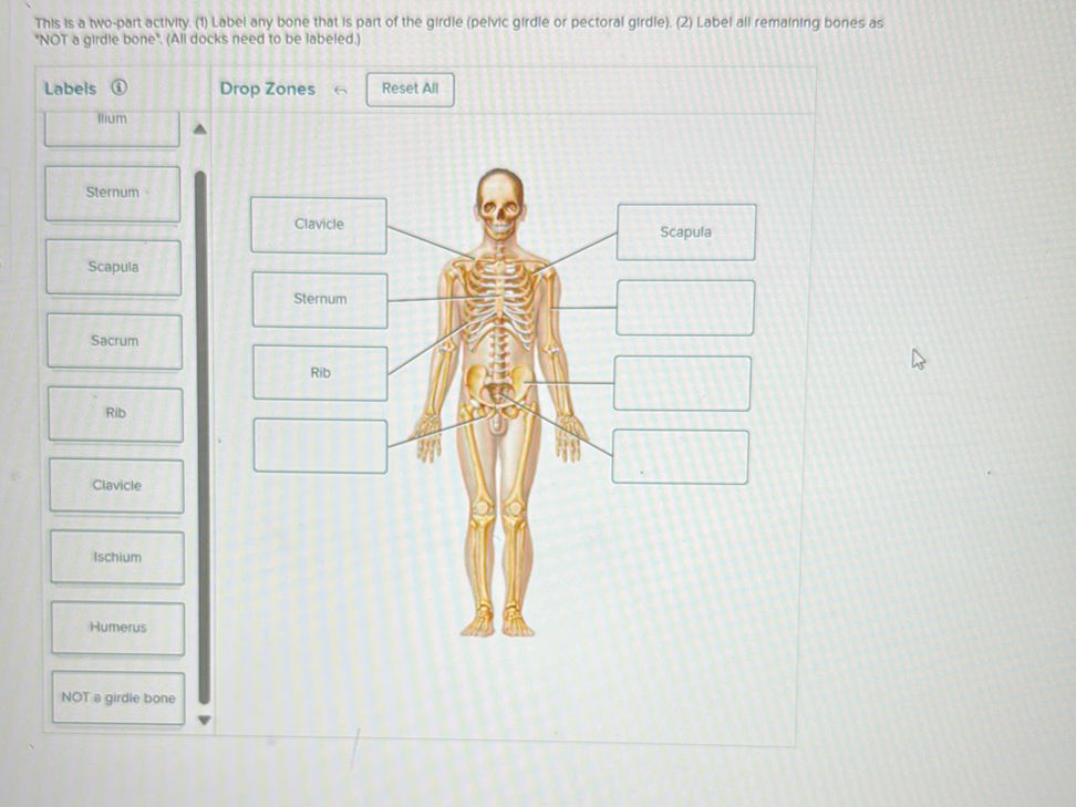 This is a two-part activity. (1) Label any | StudyX