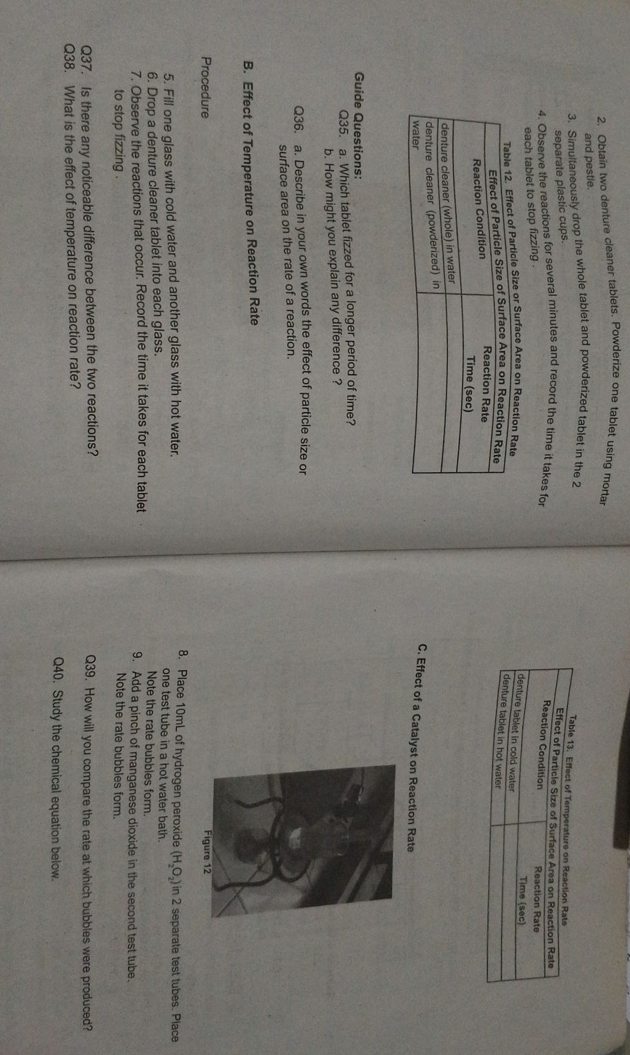 Table 12. Effect of Particle Size or Surface | StudyX