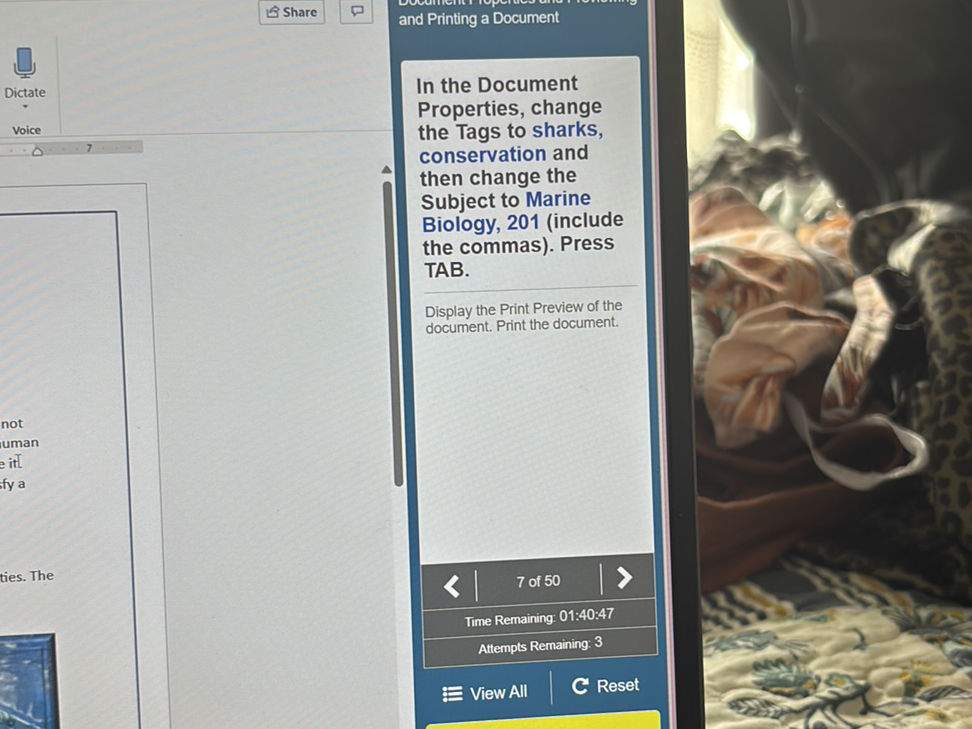 In the Document Properties, change the Tags | StudyX