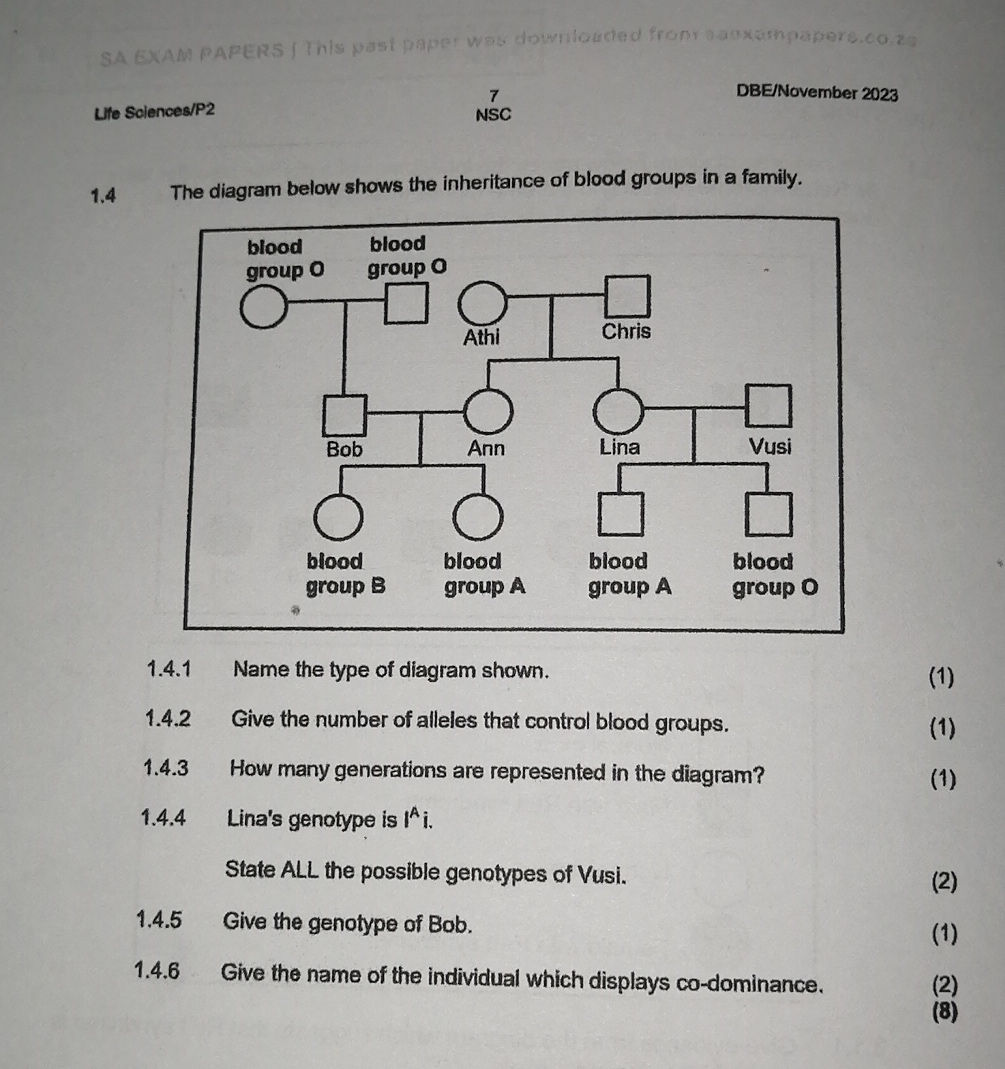 The diagram below shows the inheritance of | StudyX