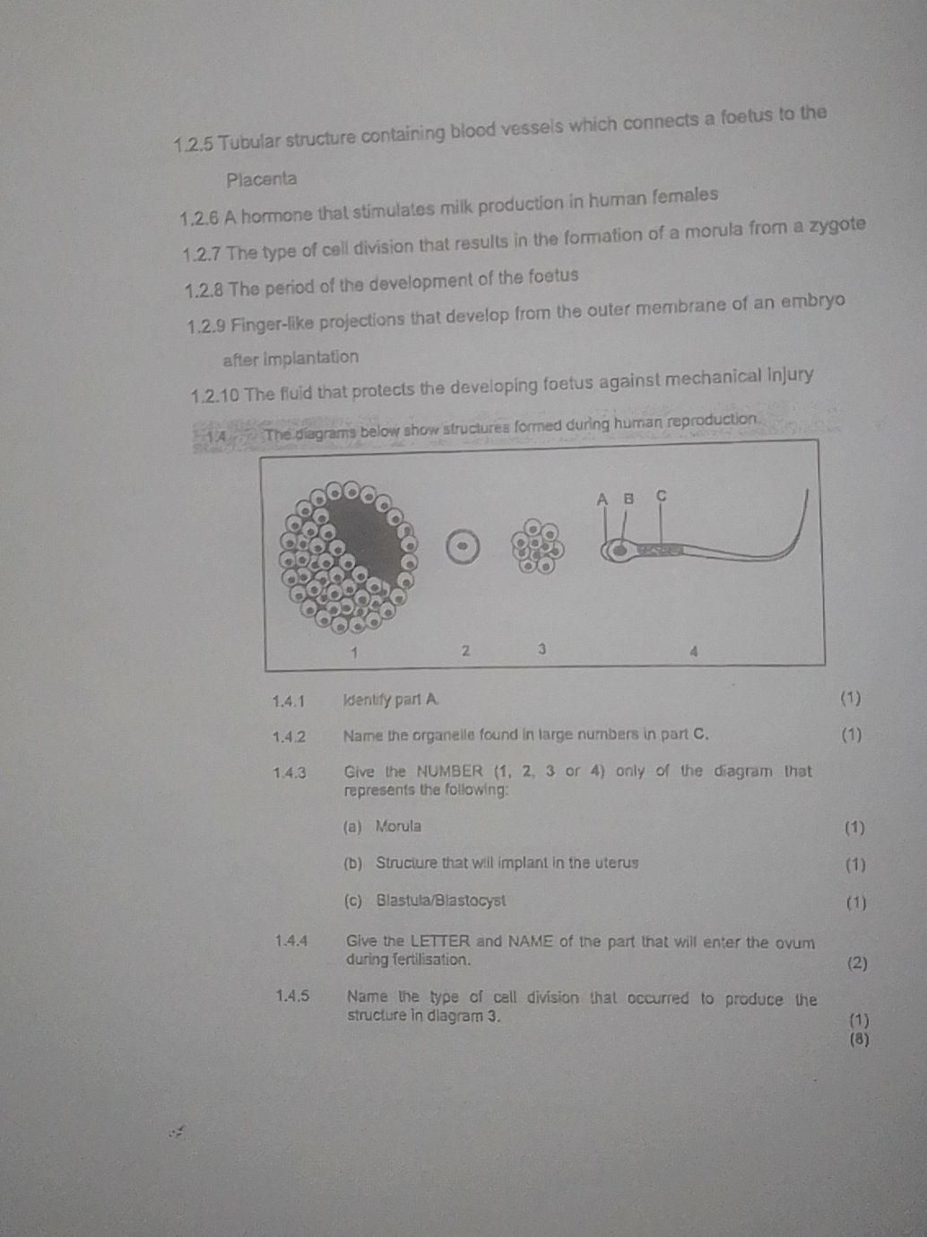 1.4 The diagrams below show structures | StudyX