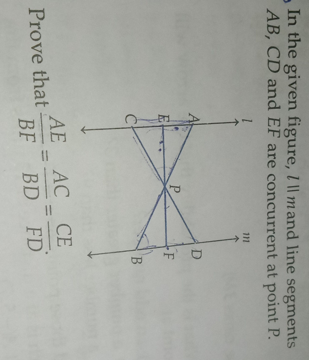 In the given figure, l || m and line | StudyX
