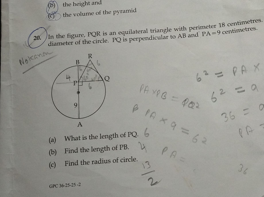 20. In the figure, PQR is an equilateral | StudyX