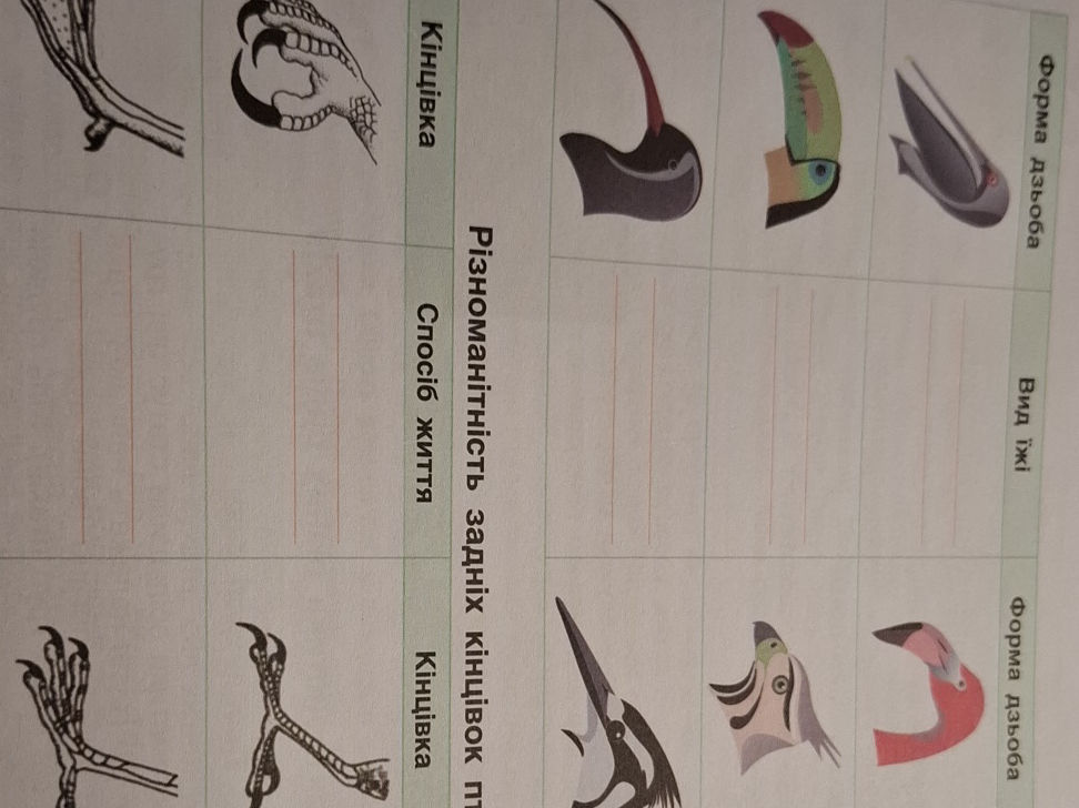 The image presents a table with | StudyX