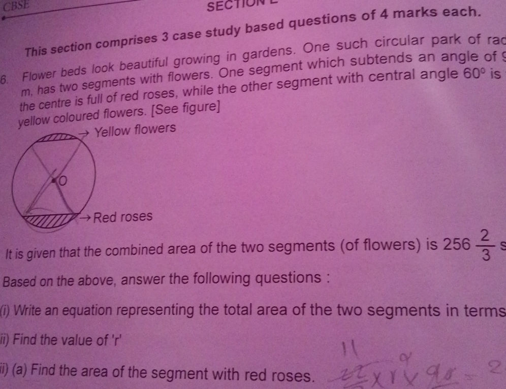 6. Flower beds look beautiful growing in | StudyX