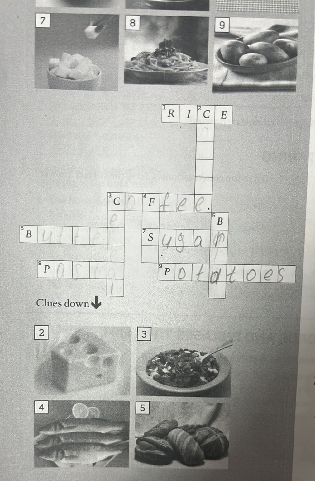 Crossword puzzle with the following clues: | StudyX