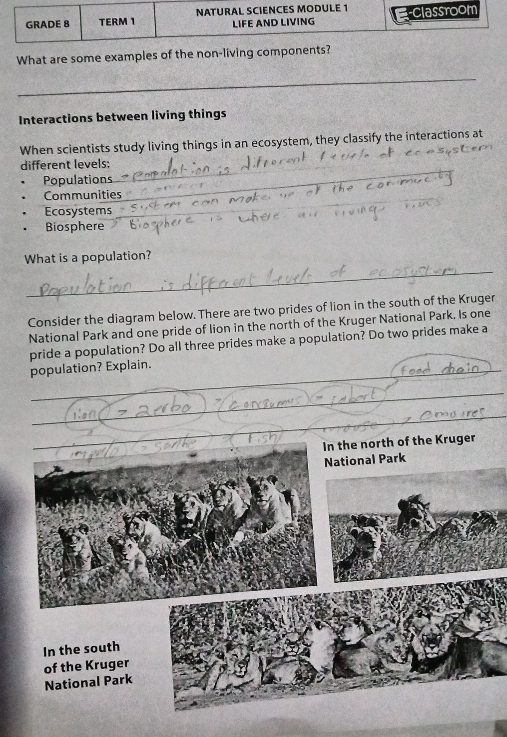 What are some examples of the non-living | StudyX