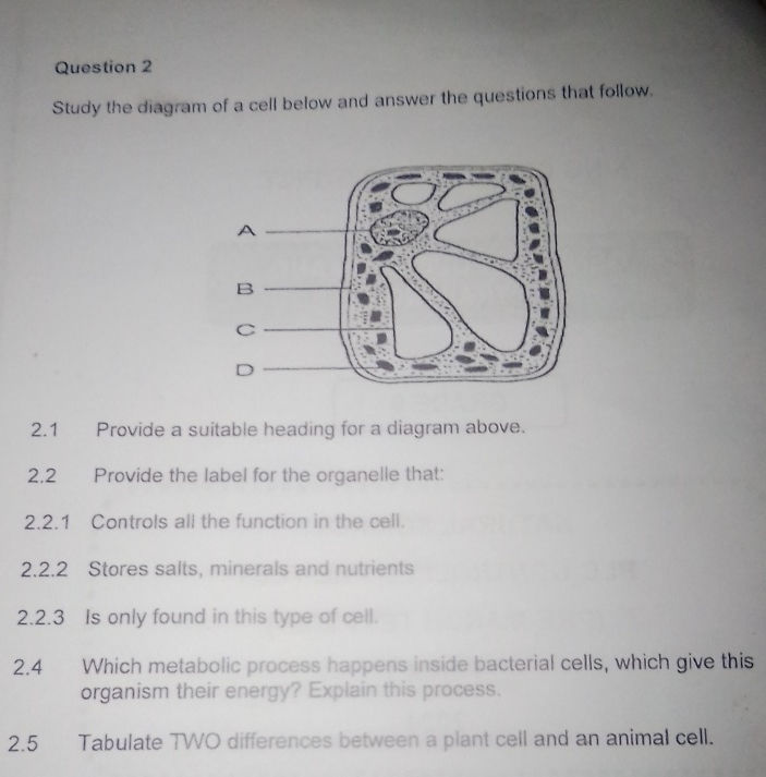 Question 2 Study the diagram of a cell below | StudyX