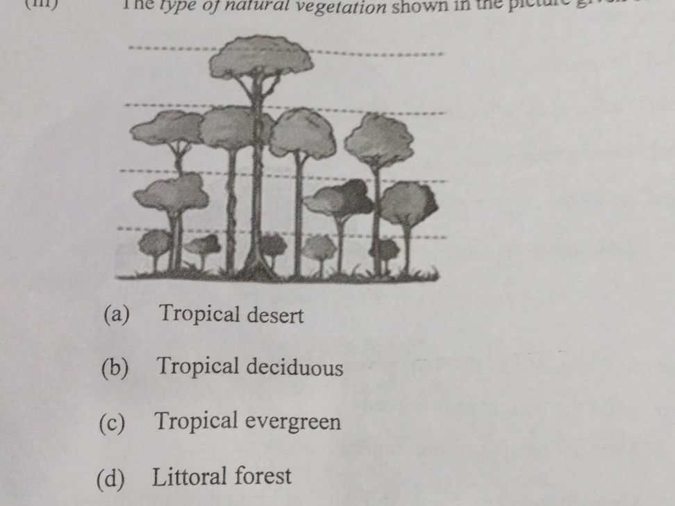 The type of natural vegetation shown in the | StudyX