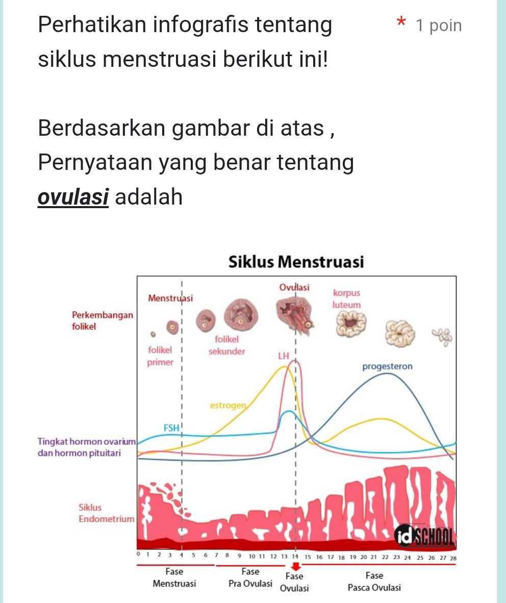 Perhatikan infografis tentang siklus | StudyX