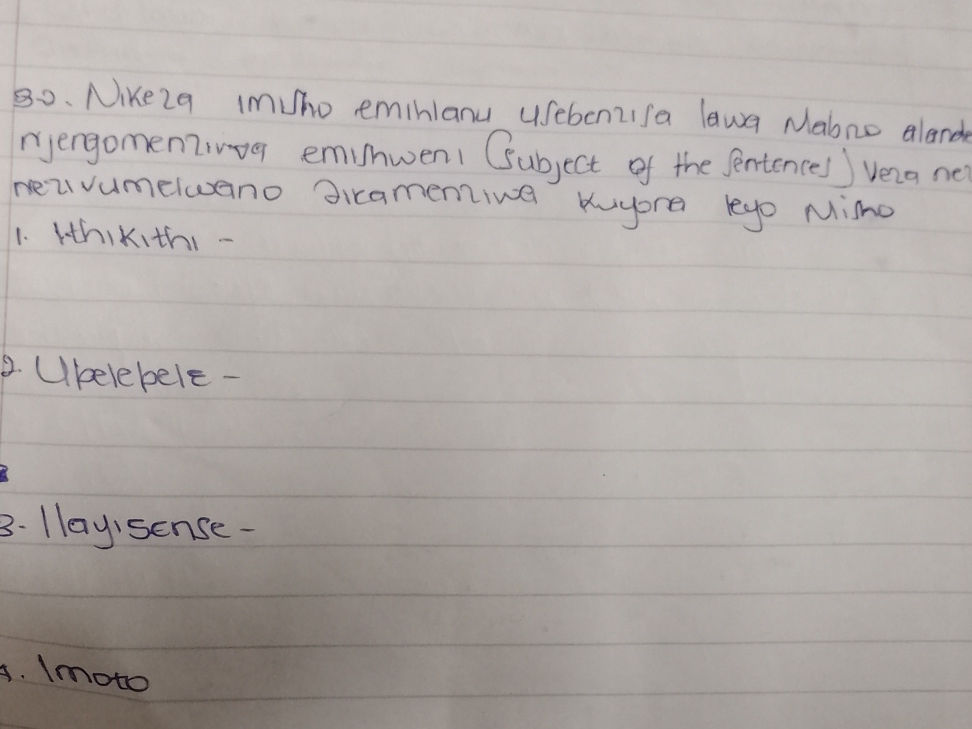 30. Nikeza imisho emihlanu usebenzisa lawa | StudyX