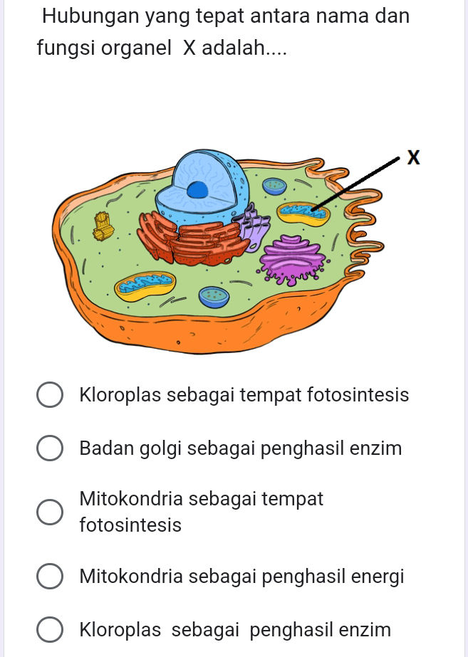 Hubungan yang tepat antara nama dan fungsi | StudyX
