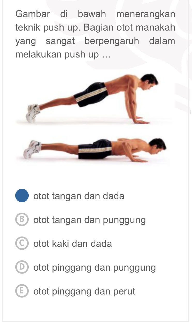 Gambar di bawah menerangkan teknik push up. | StudyX