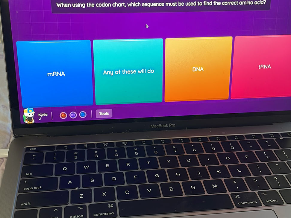 When using the codon chart, which sequence | StudyX