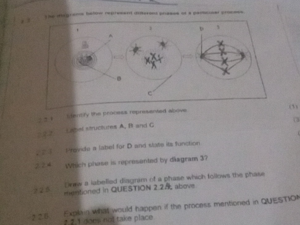 The diagrams below represent different | StudyX