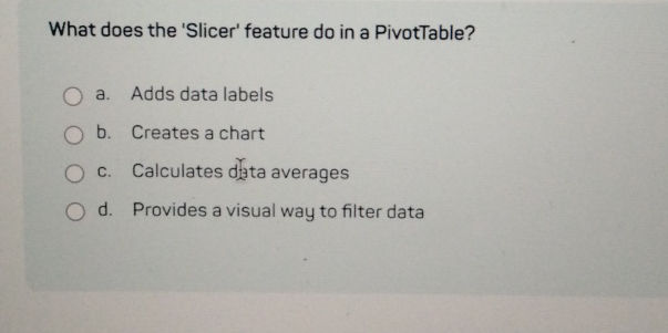 What does the 'Slicer' feature do in a | StudyX