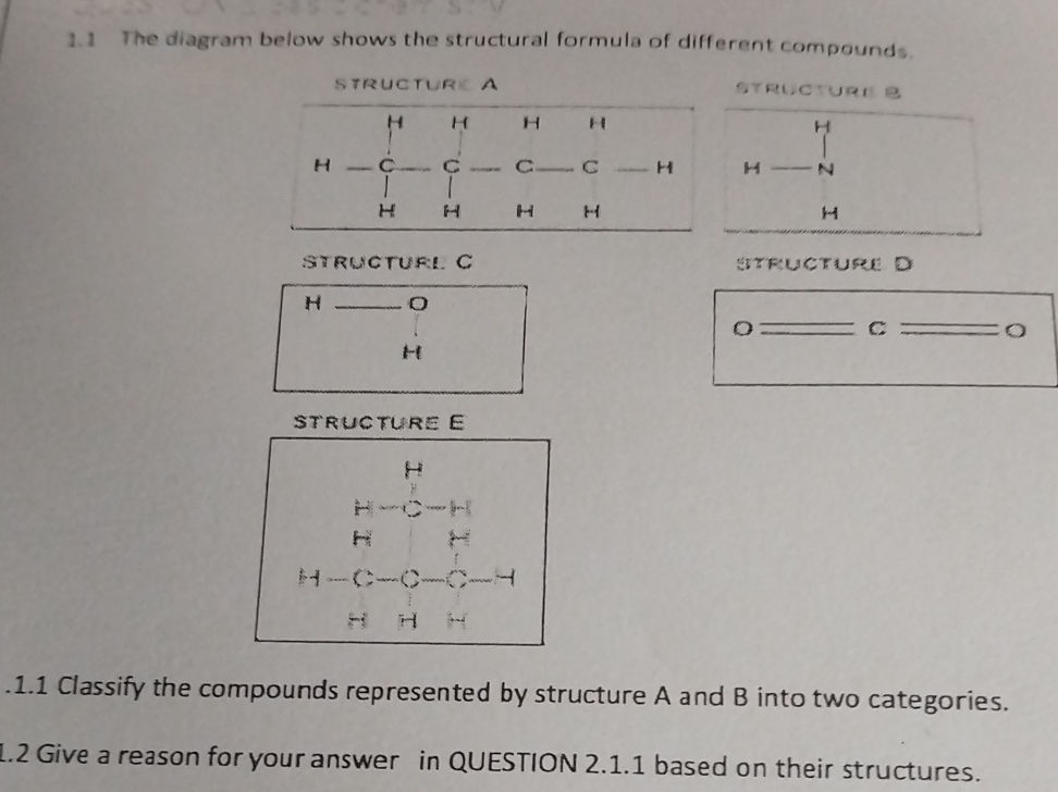 1.1 The diagram below shows the structural | StudyX