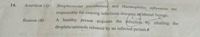 14 Assertion (A) Streptococcus pneumoniae | StudyX