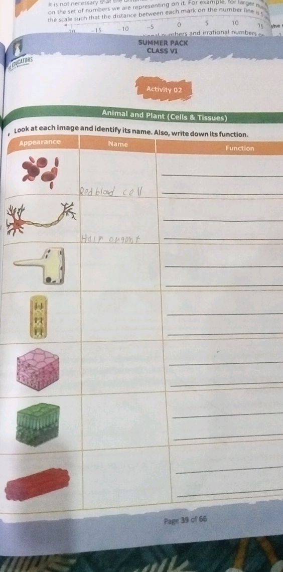 It is not necessary that on the set of | StudyX