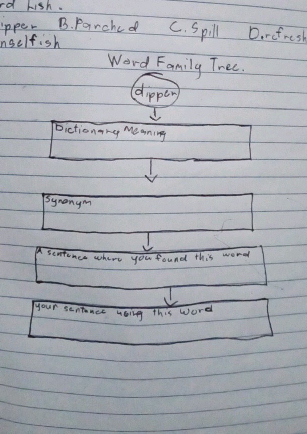 Lish ipper BParched nselfish C Spill | StudyX