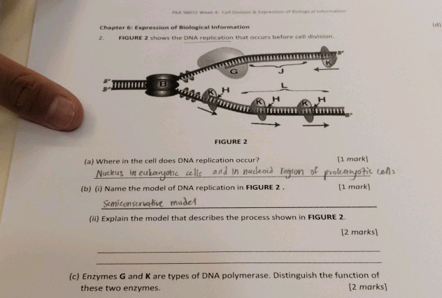 Chapter 6 Expression of Biological | StudyX