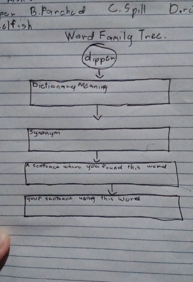 per BParched CSpill Dri elfish Word Family | StudyX