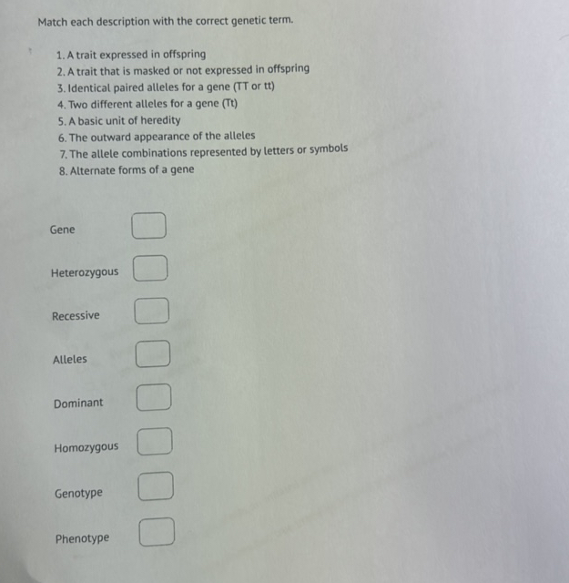 Match each description with the correct | StudyX